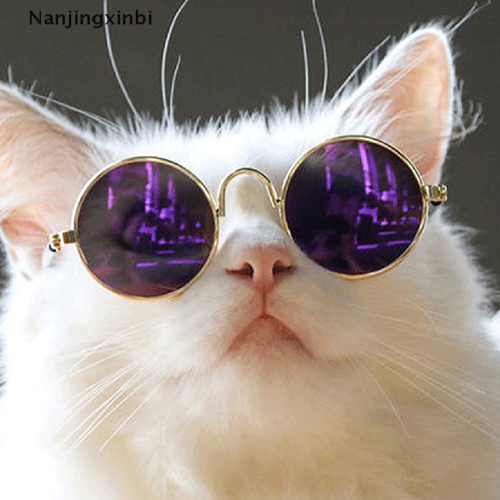 Gatos Graciosos Con Ametralladoras